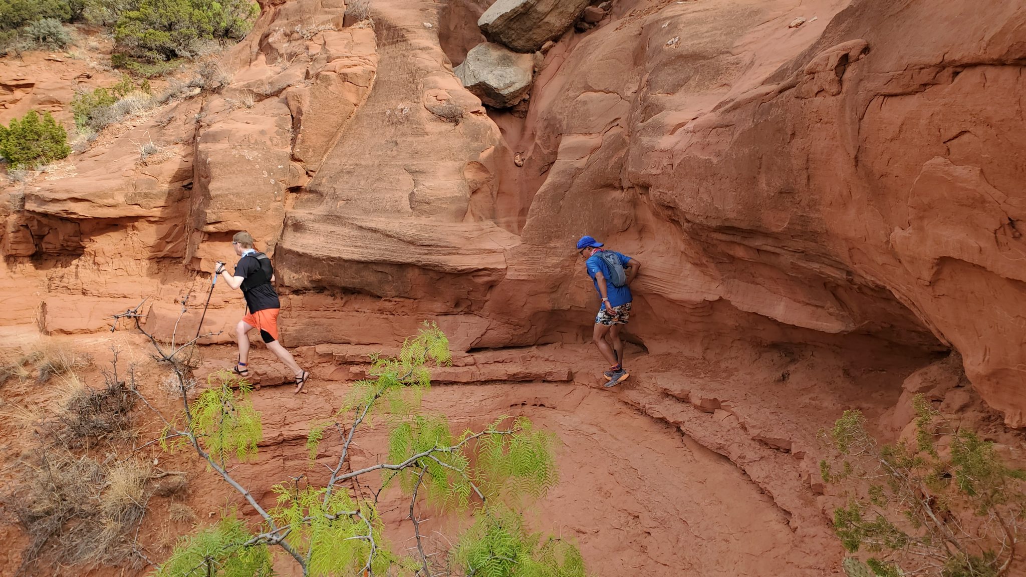 Wild Canyon Ultra at Caprock Canyon State Park - Texas Trail Running